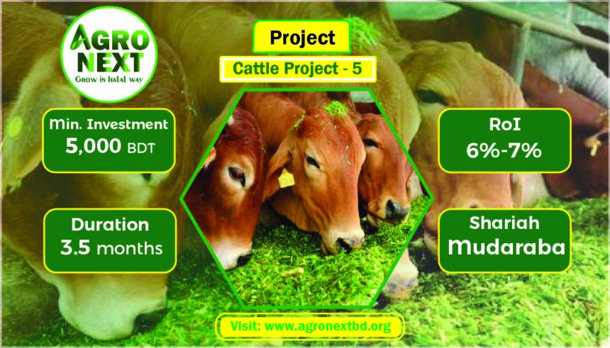 Cattle Project – 5 – AGRO NEXT