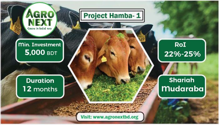 Project Hamba- 1 – AGRO NEXT
