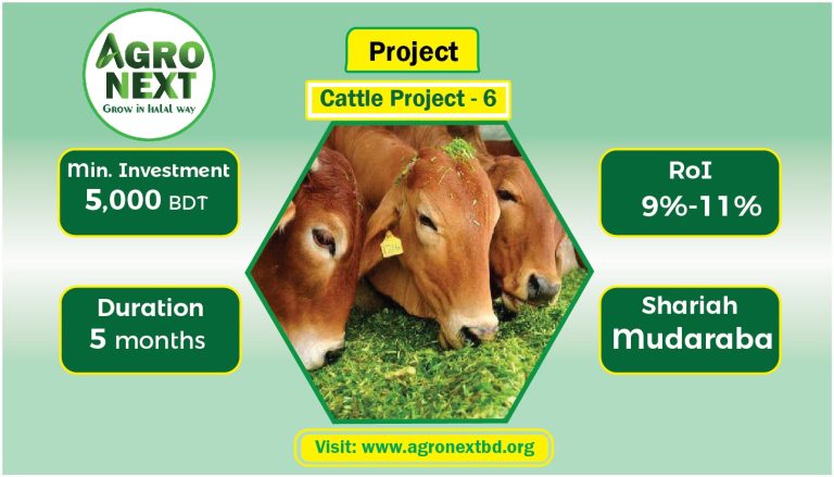 Cattle Project – 6 – AGRO NEXT