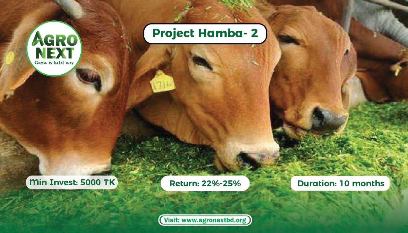 Hamba Project- 2 – AGRO NEXT