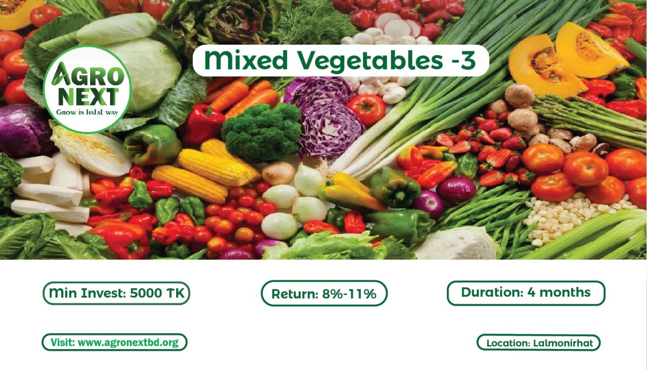 Mixed Vegetables- 3 – AGRO NEXT